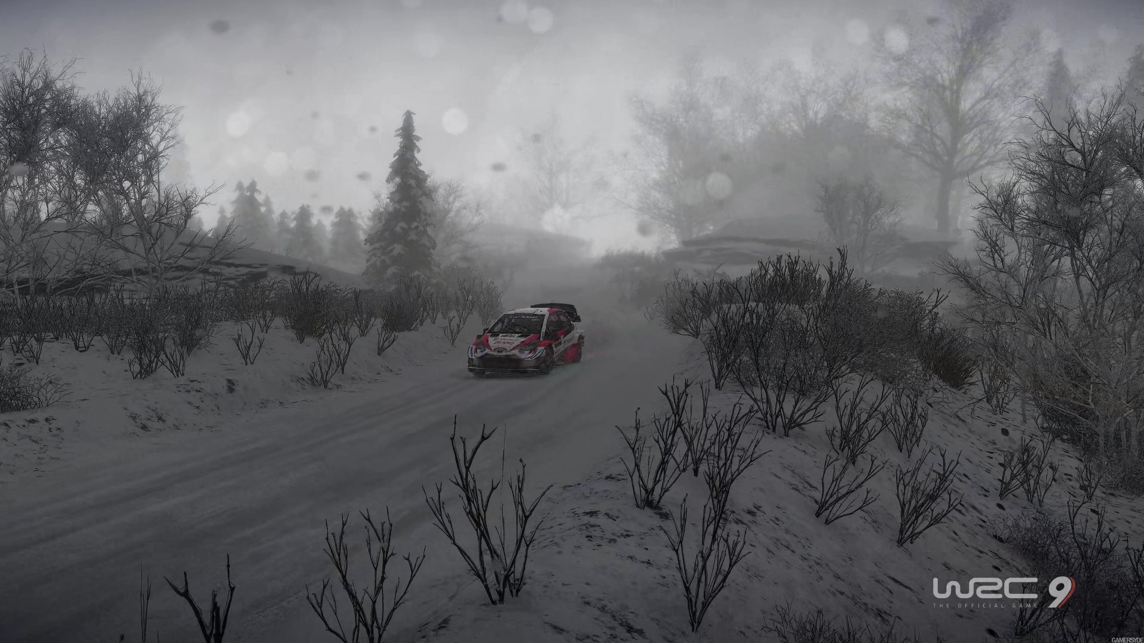 WRC 9 - Countries of WRC9 Part 1 (PC/4K) - High quality stream and ...